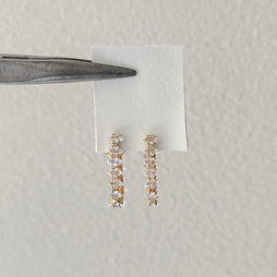 All Earrings – LE sensor