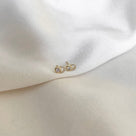 Earrings – LE sensor